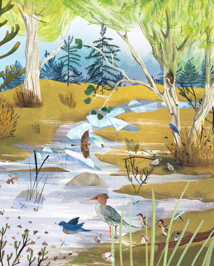 L.E. Carmichael | Author of science books for children & young adults
